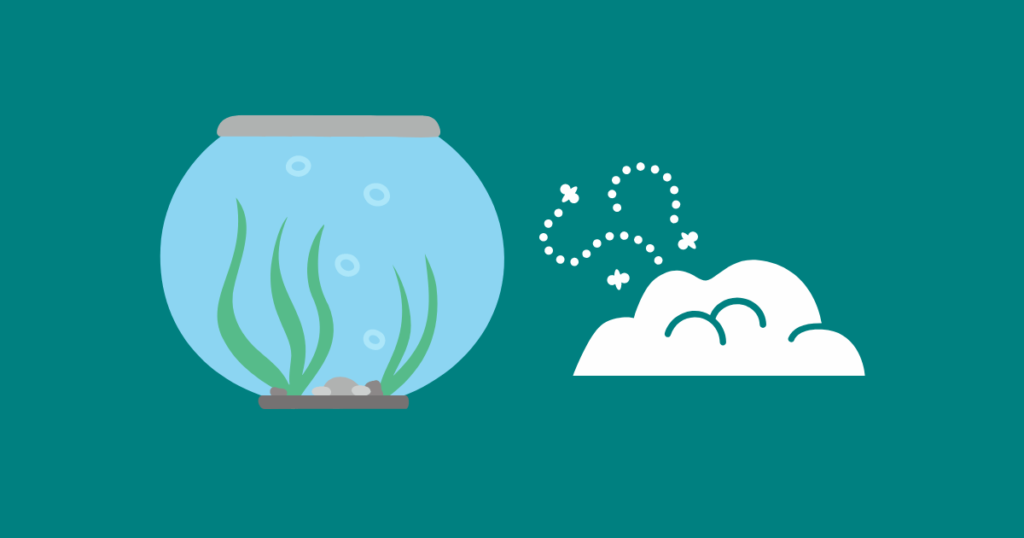 Does Fish Poop Fertilize Aquarium Plants? | Yepaz